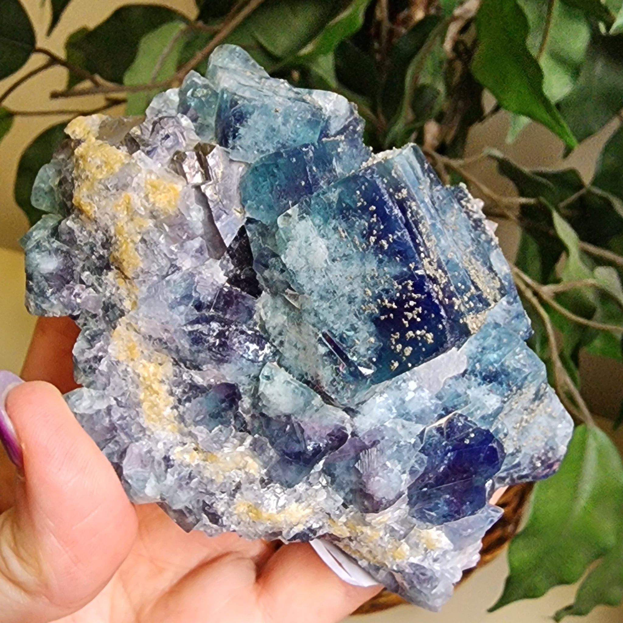 Fluorite- The Superior Mine, Mambilla Plateau, Nigeria, Africa – The ...