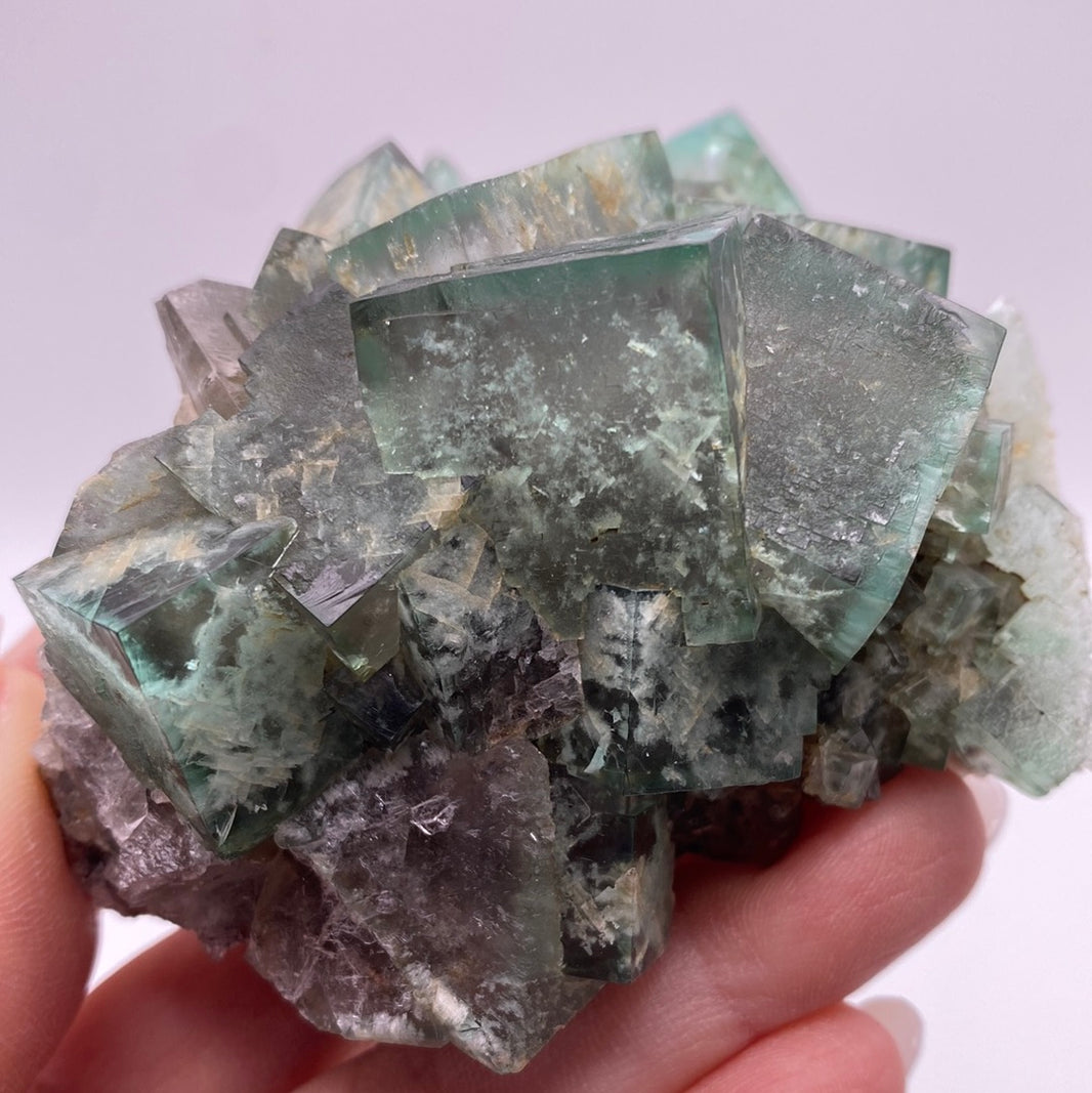 Collector Specimens – Page 14 – The Crystalary